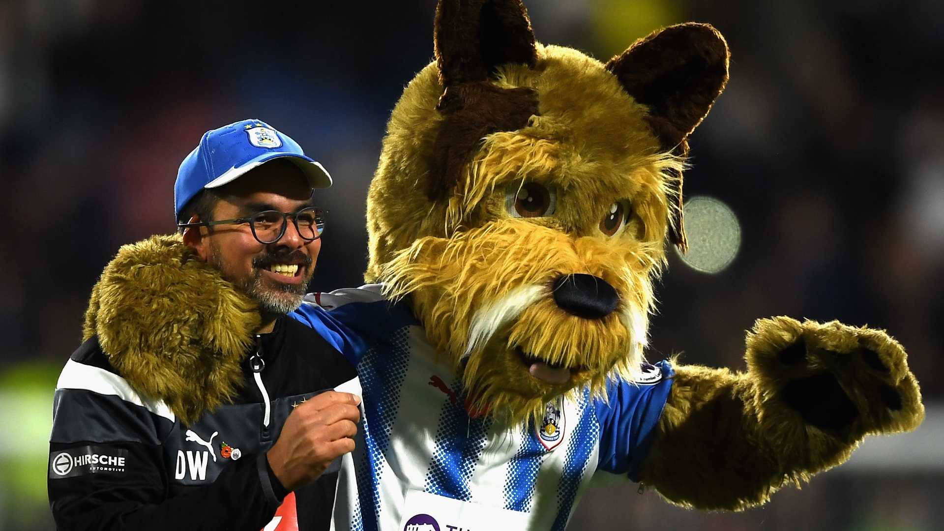 Every Premier League football mascot: From Gunnersaurus to Fred the Red ...