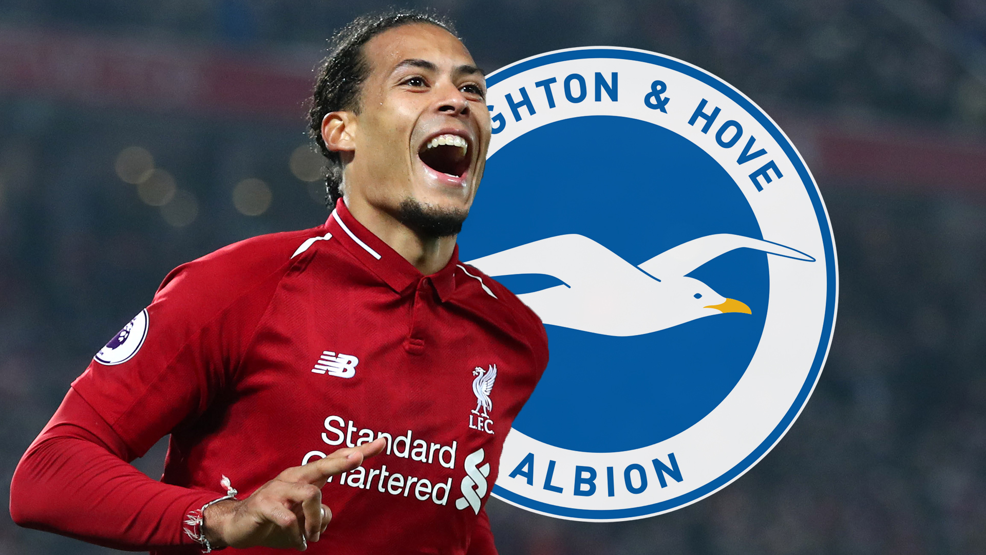 Liverpool news: Gus Poyet calls for Virgil van Dijk Player of the Year ...