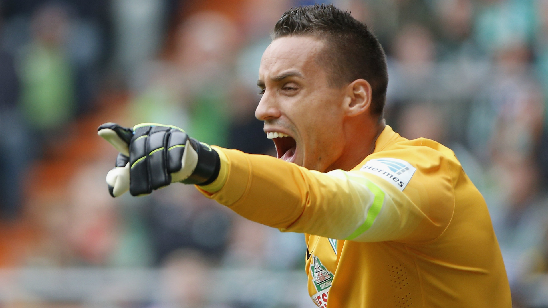 Classify German goalkeeper Raphael Wolf