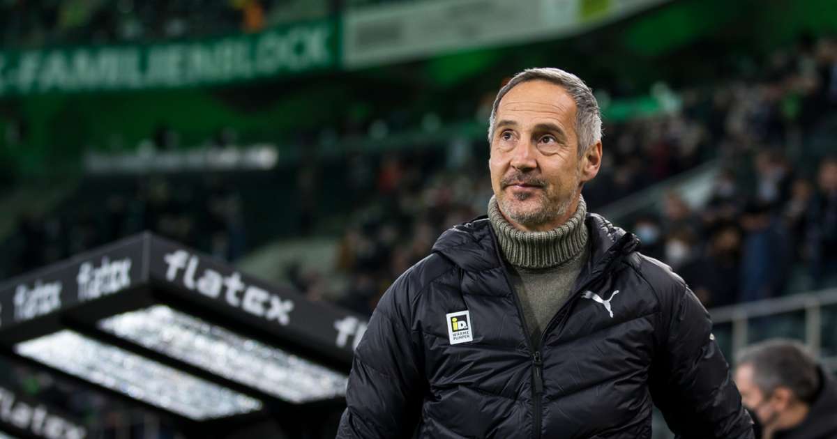 Smashed for six by half-time! Gladbach boss Hutter tells fans he's ...