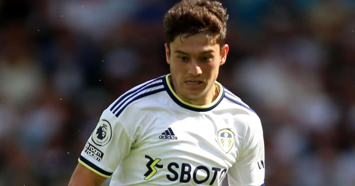 Wales boss Rob Page urges Premier League clubs to snap up Daniel James