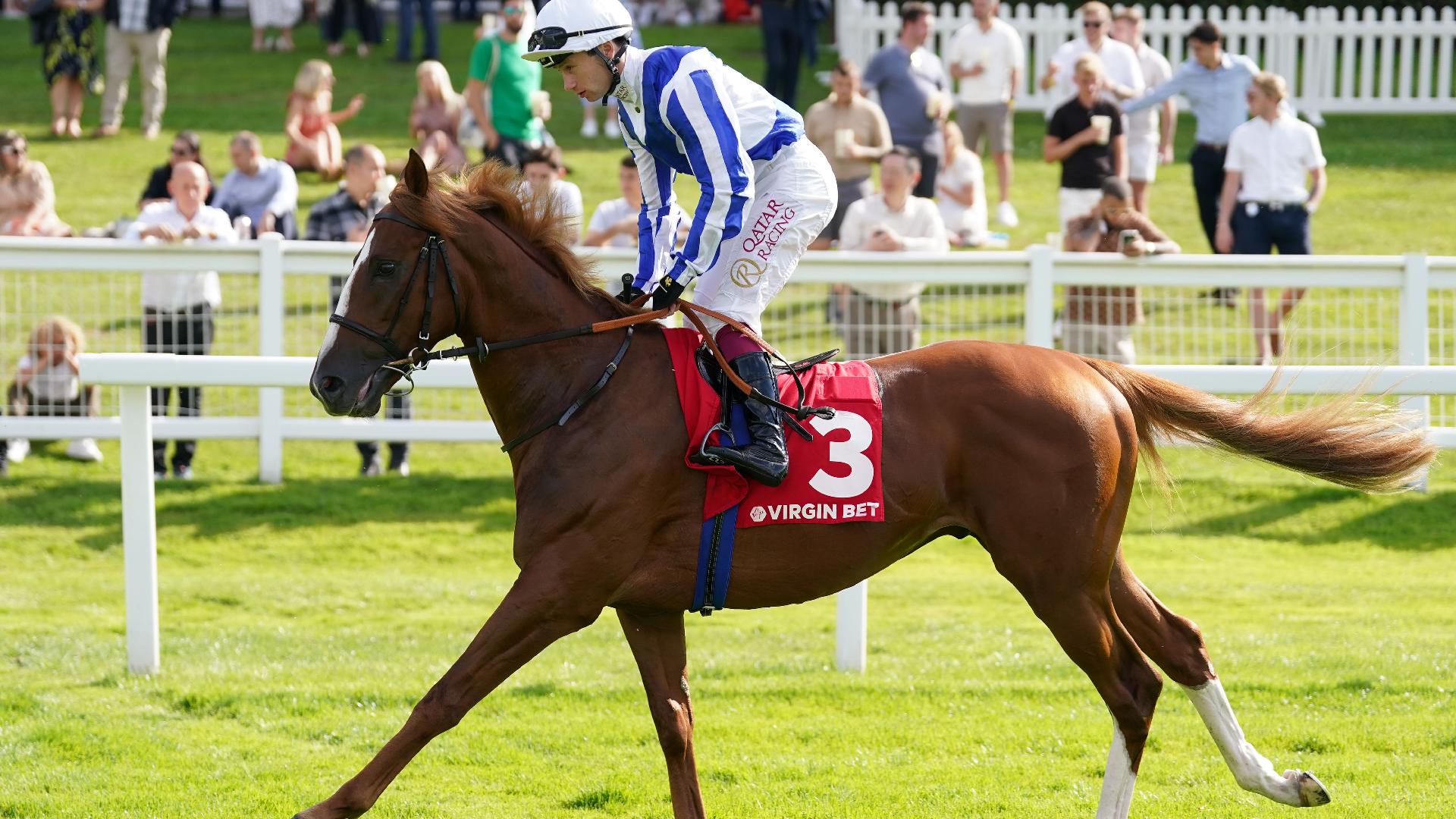 Plenty of options for Devil's Point after encouraging Sandown run ...