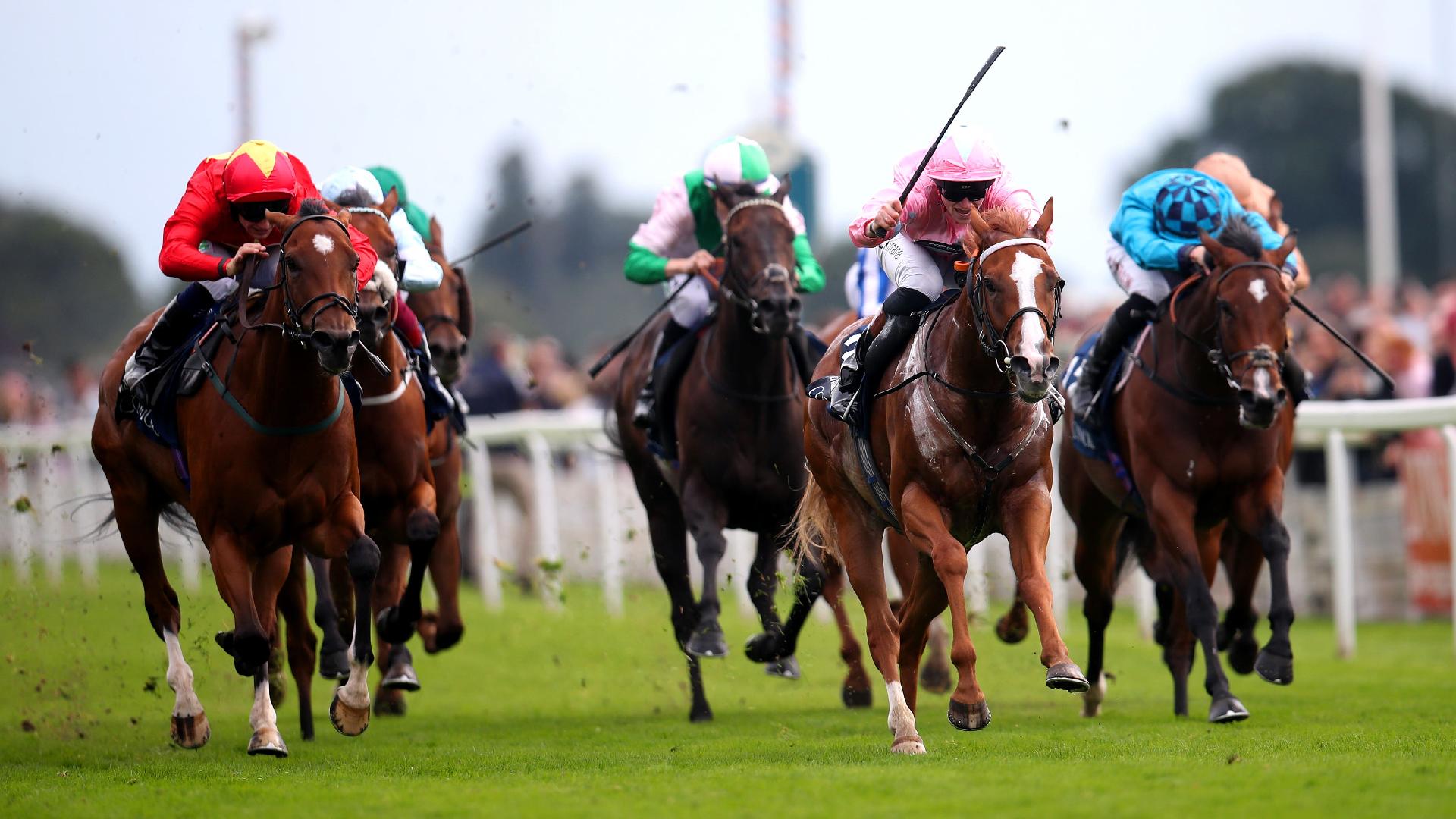 Quinn proud of Highfield Princess in defeat | LiveScore