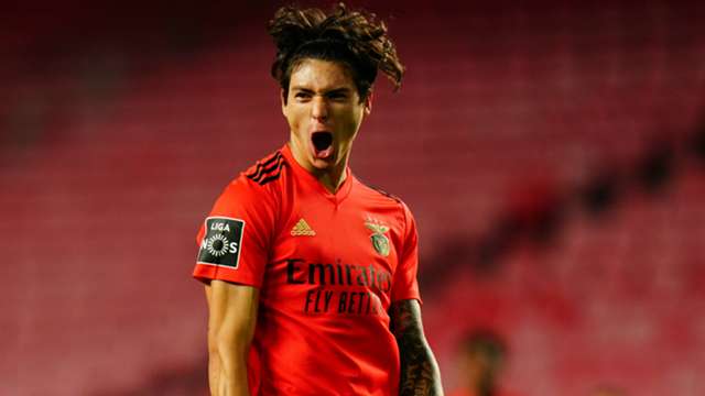 Darwin Nunez - stats, career and market value