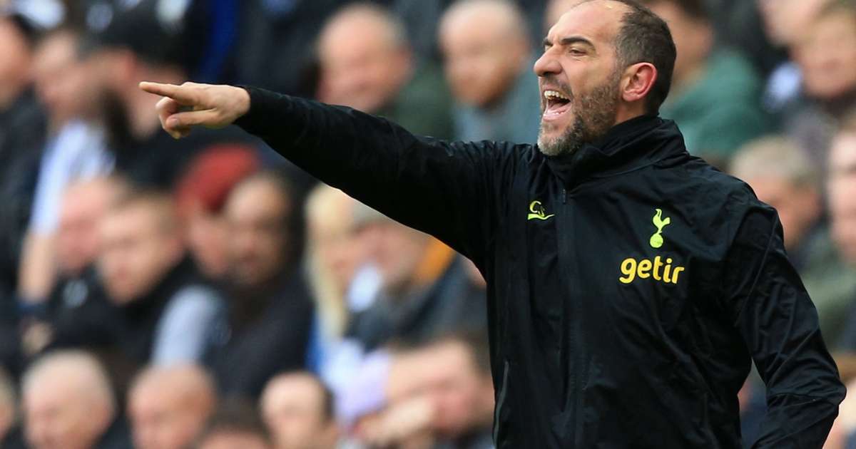 Stellini takes responsibility as system change backfires in Newcastle rout