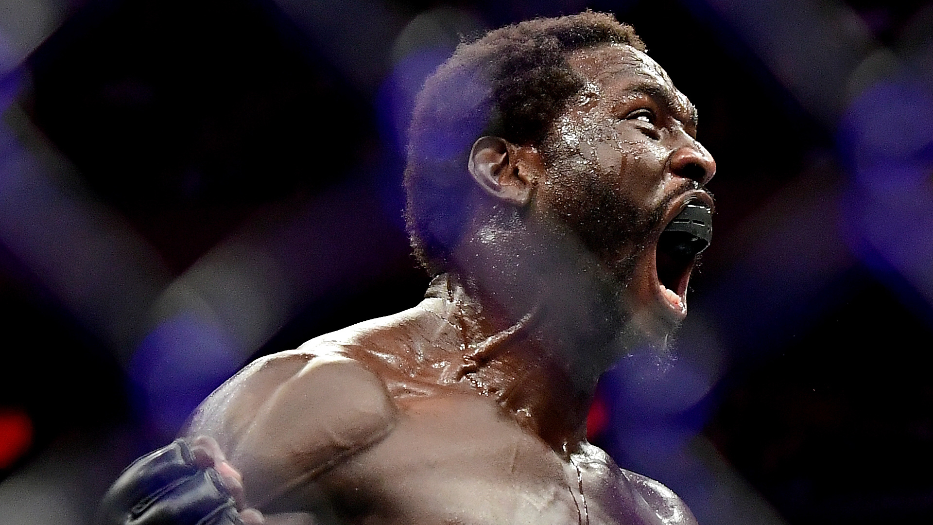 UFC 237's Jared Cannonier: 'My job is to get in there and fight and I ...