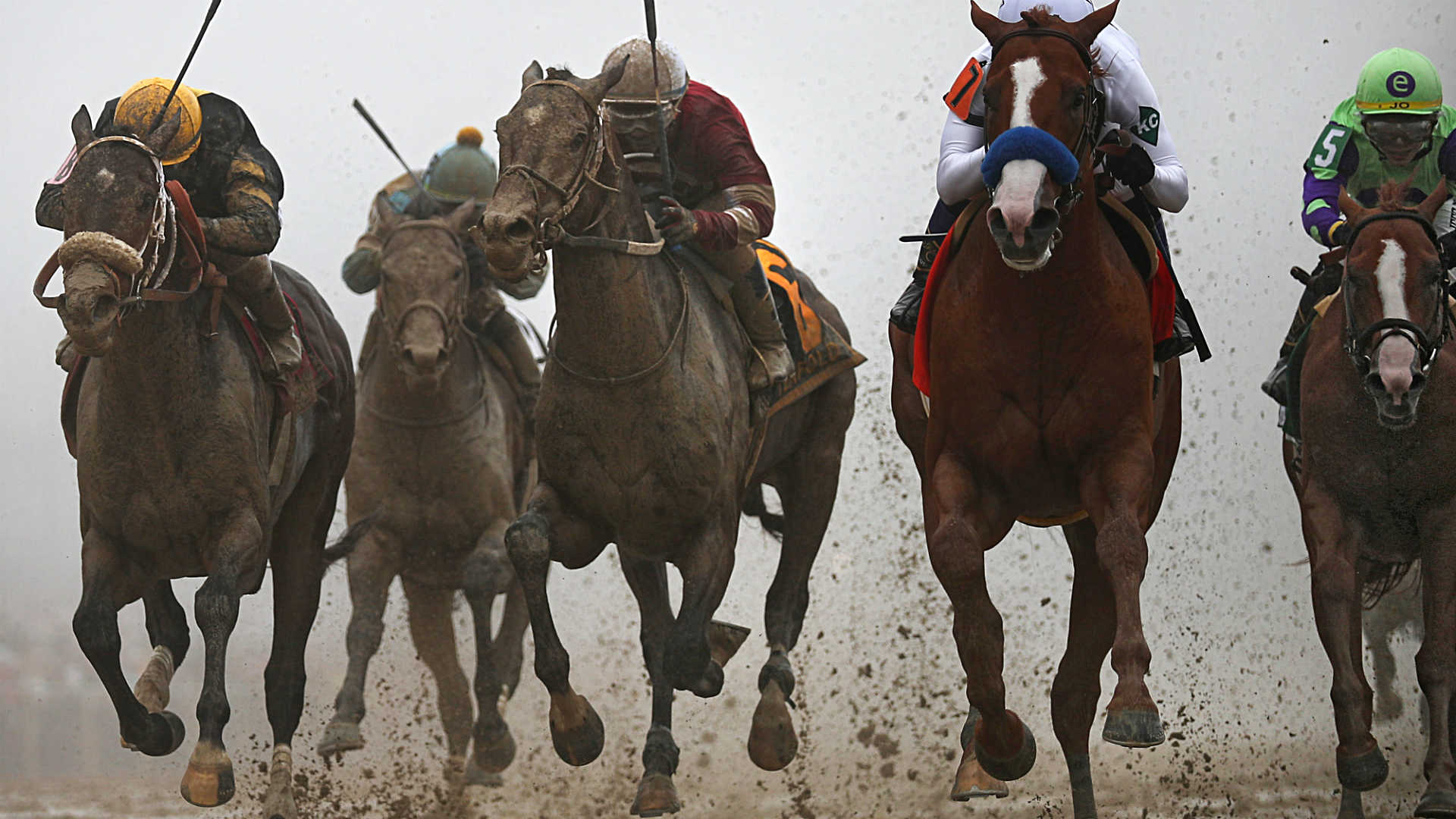 Fast facts before you pick a horse in the 2019 Preakness Stakes ...